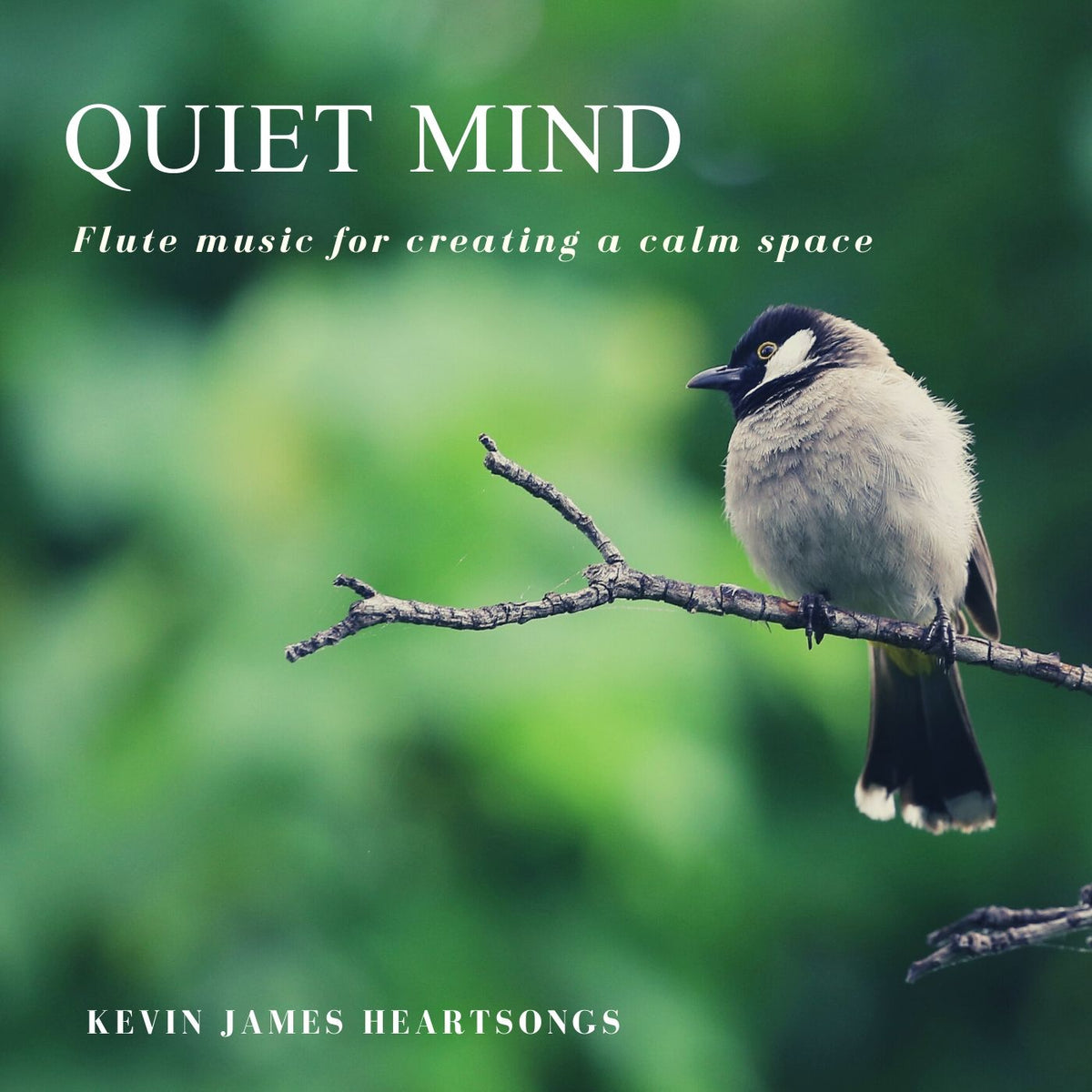 Quiet Mind Centre